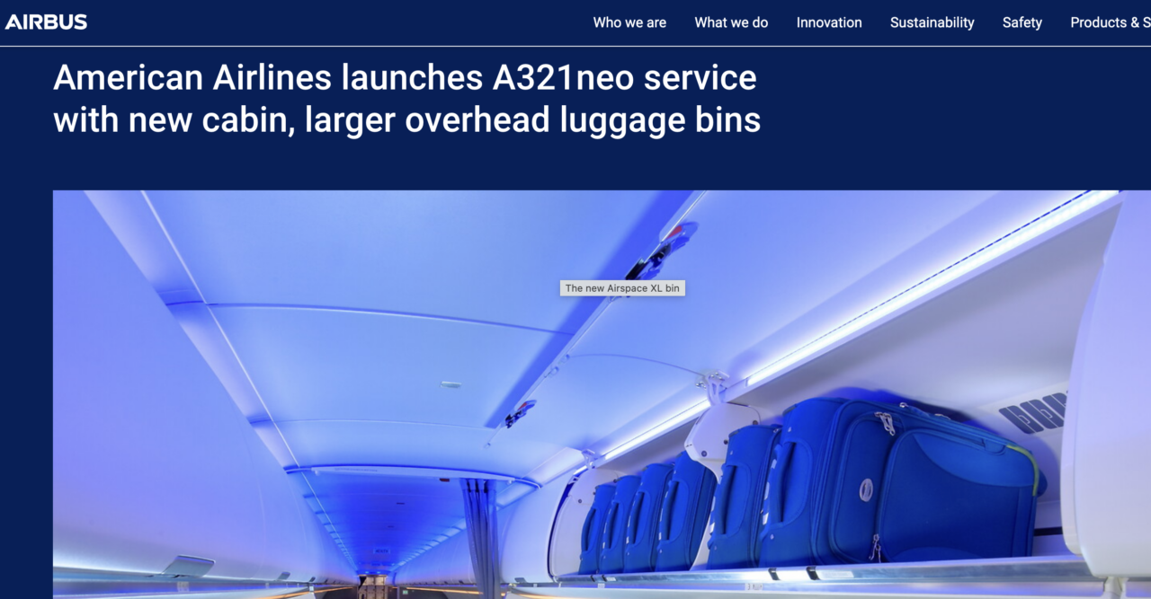 Overhead Bin Space for YOUR Carry-On Bag - Laurie